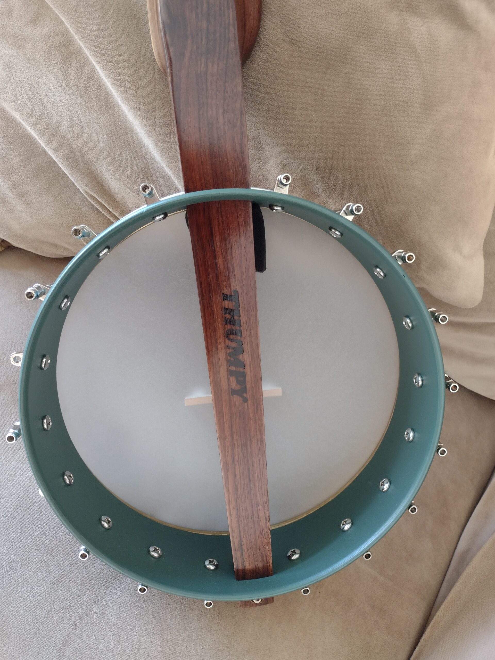 THUMPY BANJOS – It's a Banjo Banjo